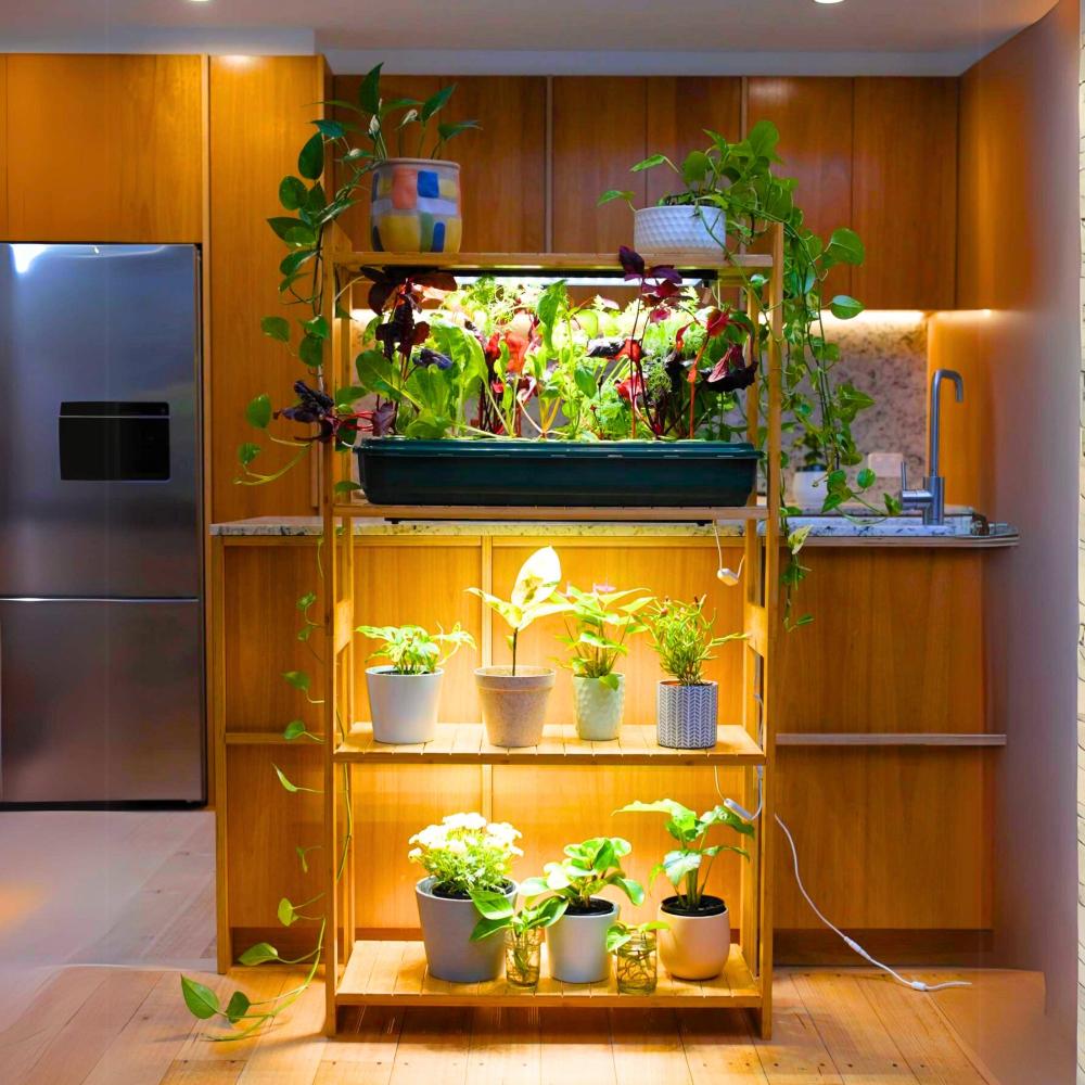 Sun Shelf 3 | Indoor plant shelf with LED grow lights - gathera UK