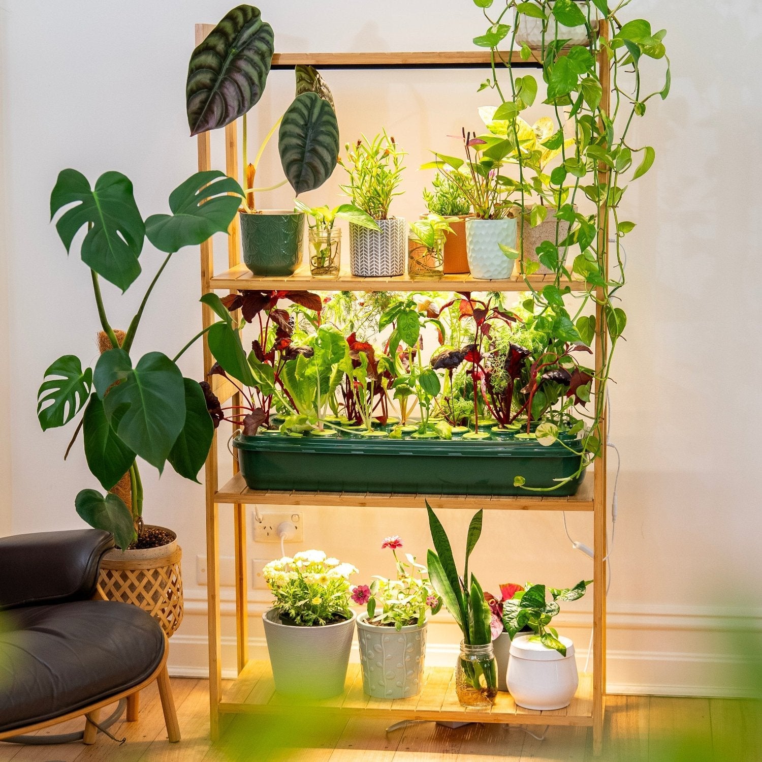 Sun Shelf 3 | Indoor plant shelf with LED grow lights - gathera UK