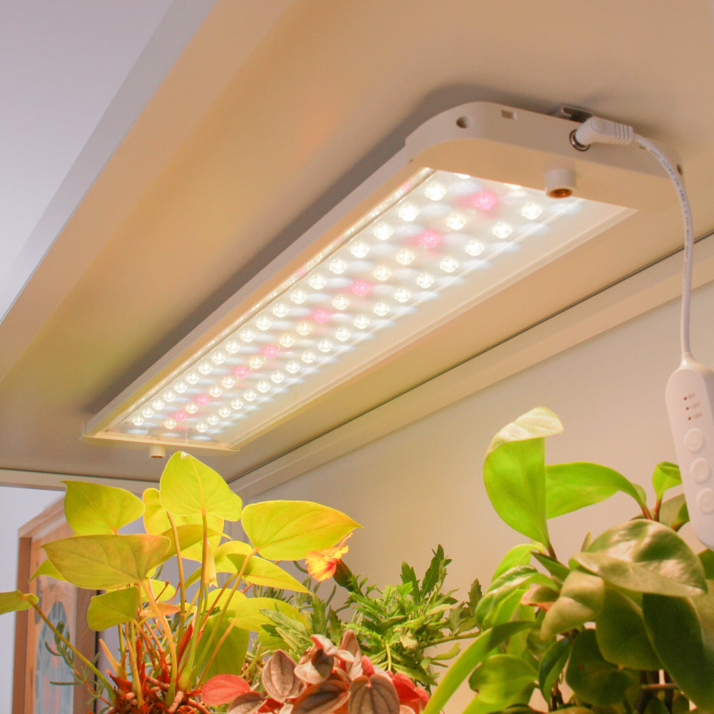 LED Grow Lights UK | Indoor Plant Grow Light - gathera UK