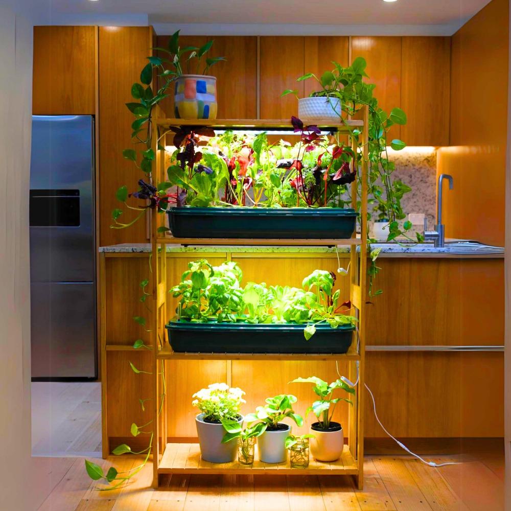 Sun Shelf 3 | Indoor plant shelf with LED grow lights - gathera UK