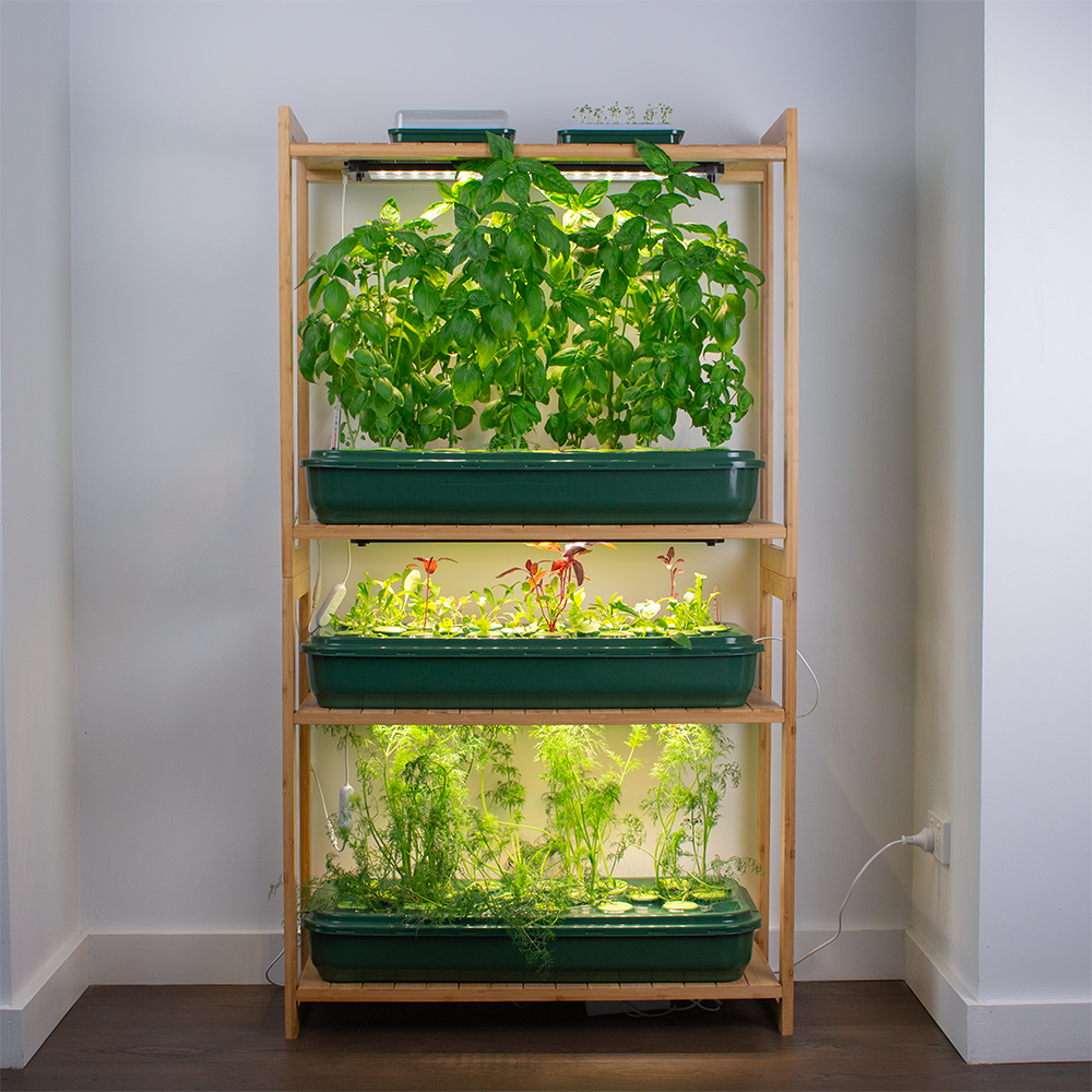 Sun Shelf 3 | Indoor plant shelf with LED grow lights - gathera UK