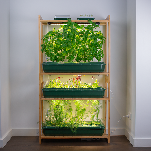 Indoor Herb Gardens | Grow food with hydroponics! - gathera UK